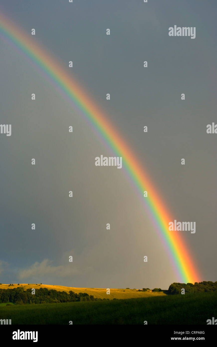 Selsley common hi-res stock photography and images - Alamy