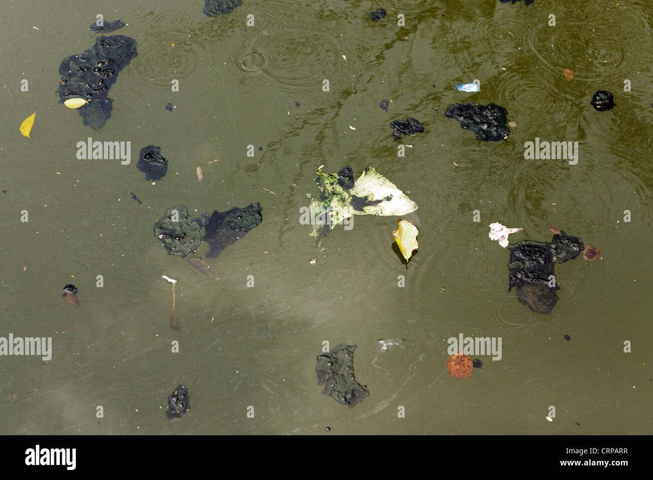Pollution of canals hi-res stock photography and images - Alamy
