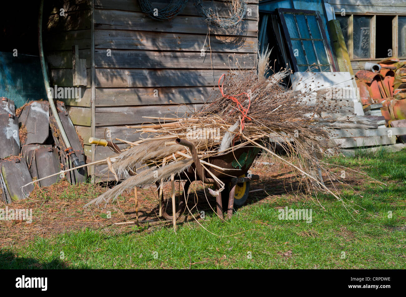 Reed cutters wheelbarrow Stock Photo - Alamy