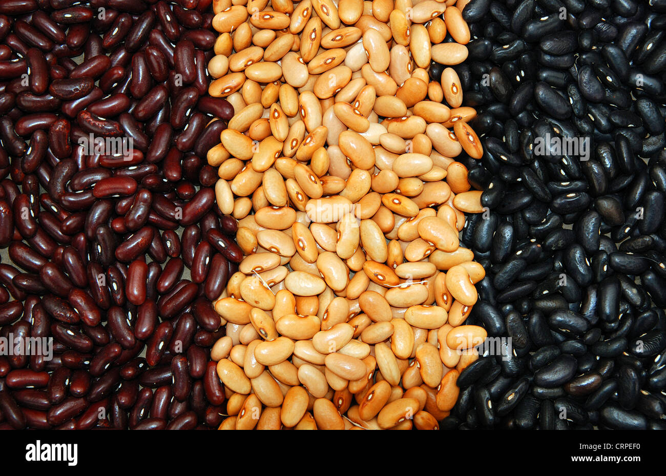 rows of mixed beans Stock Photo - Alamy
