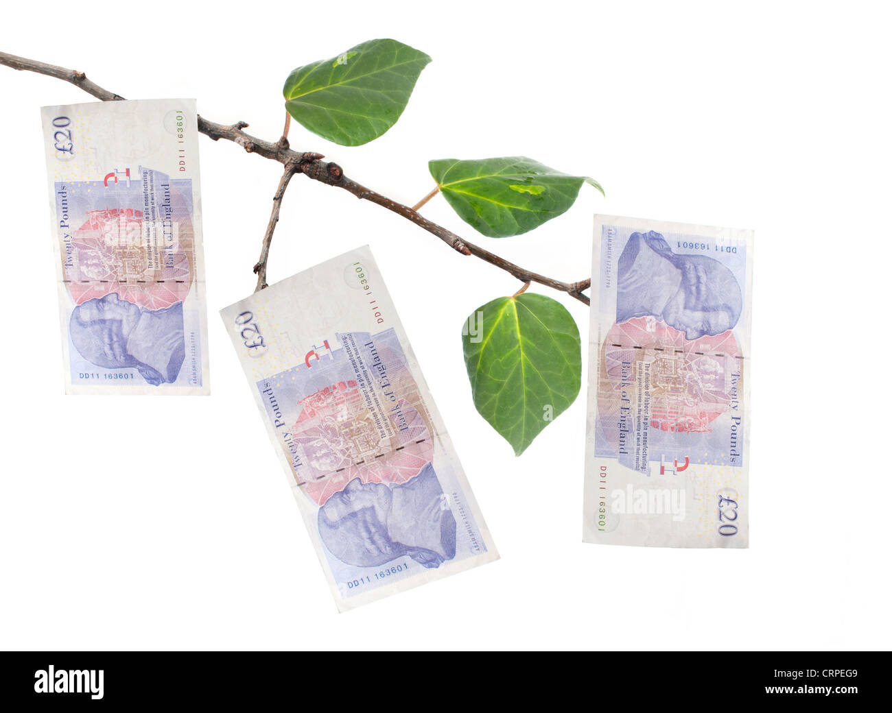Money tree Cut Out Stock Images & Pictures - Alamy