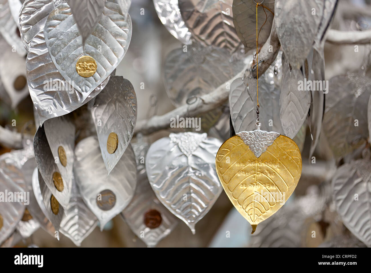 Silver leaf hi-res stock photography and images - Alamy