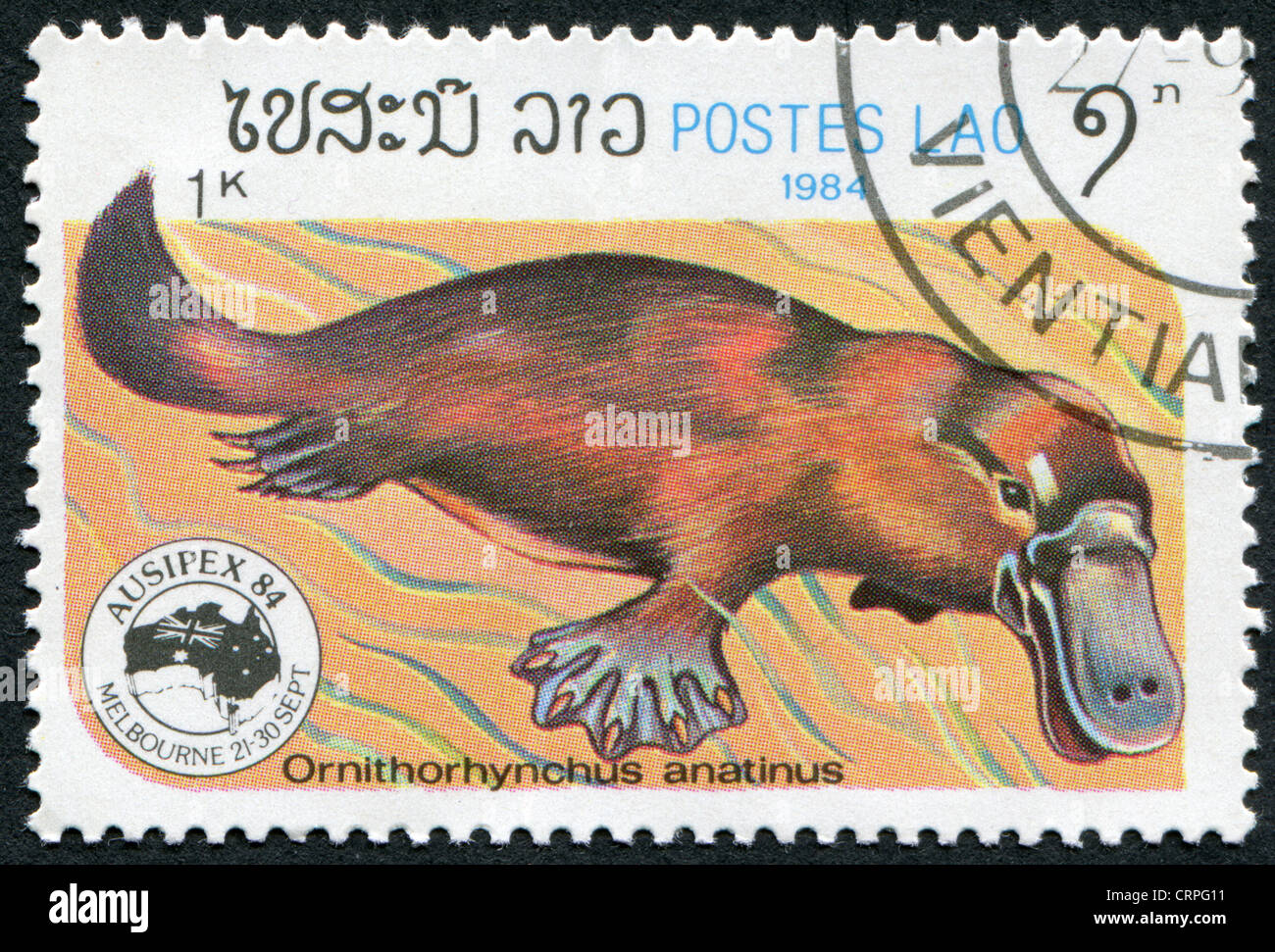 Platypus australia postage stamp hi-res stock photography and images ...