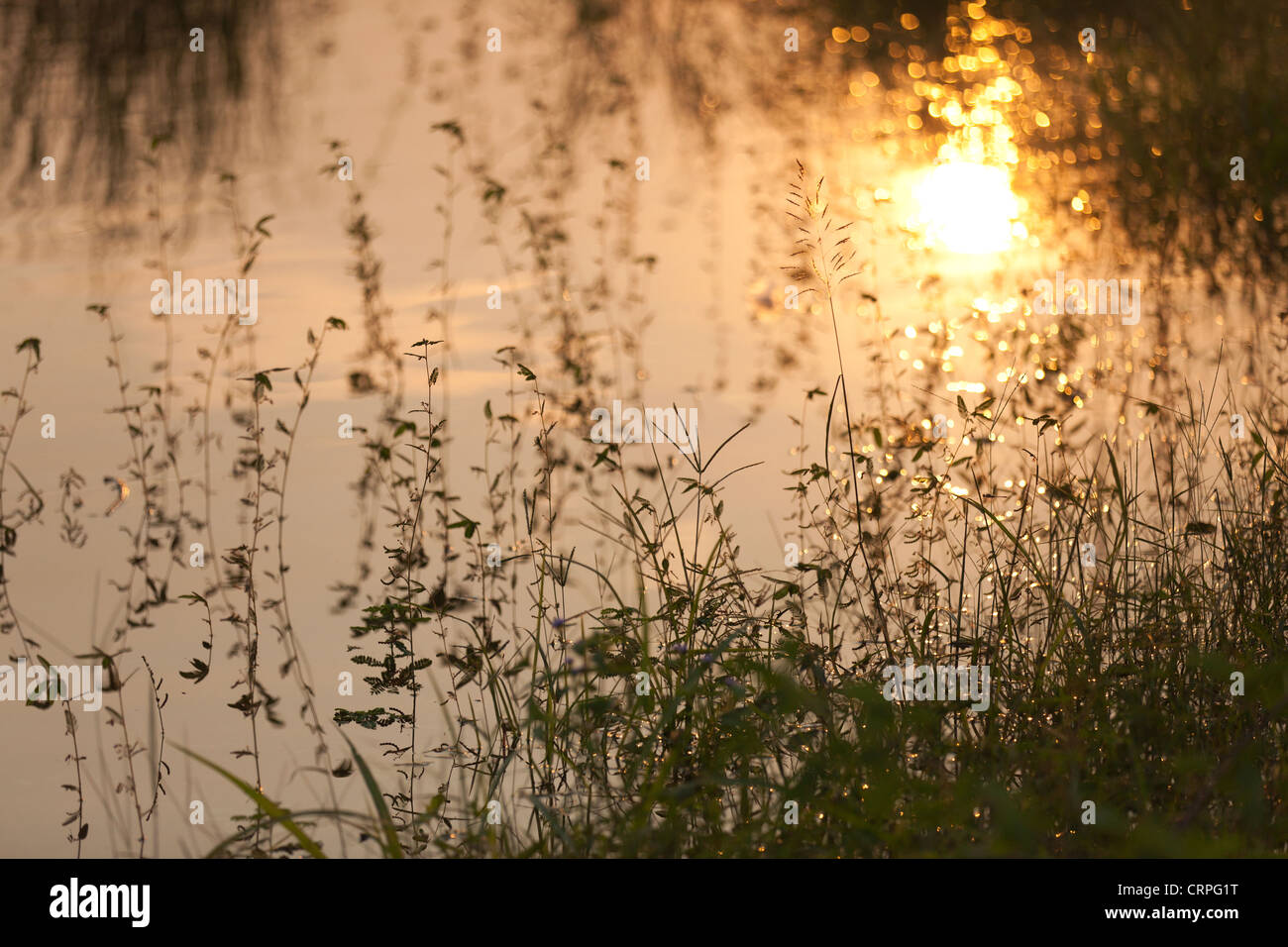 Dusk sunlight reflection on water lake Stock Photo - Alamy