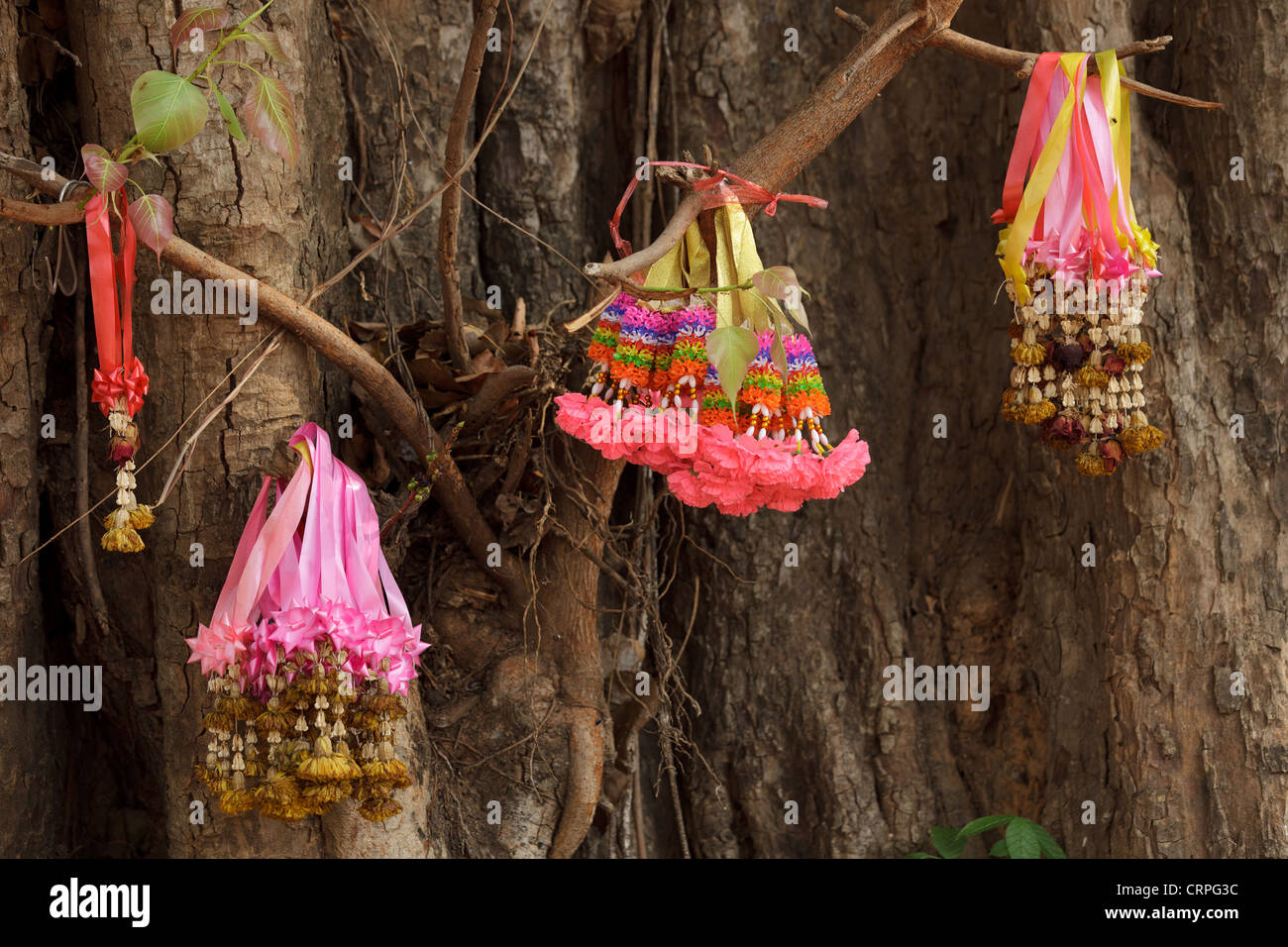 Buddhist symbols hi-res stock photography and images - Alamy