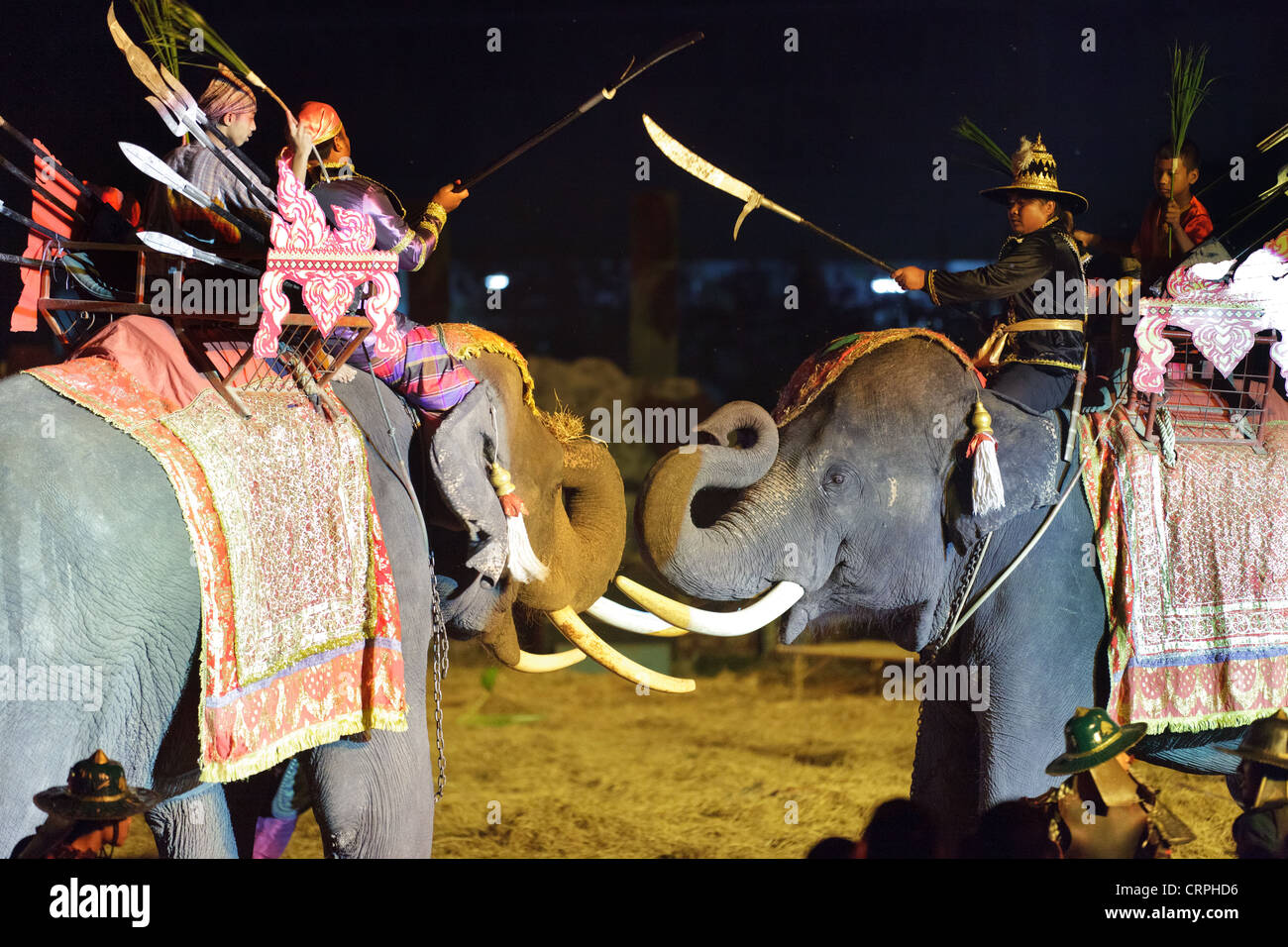 Elephant thai hi-res stock photography and images - Alamy