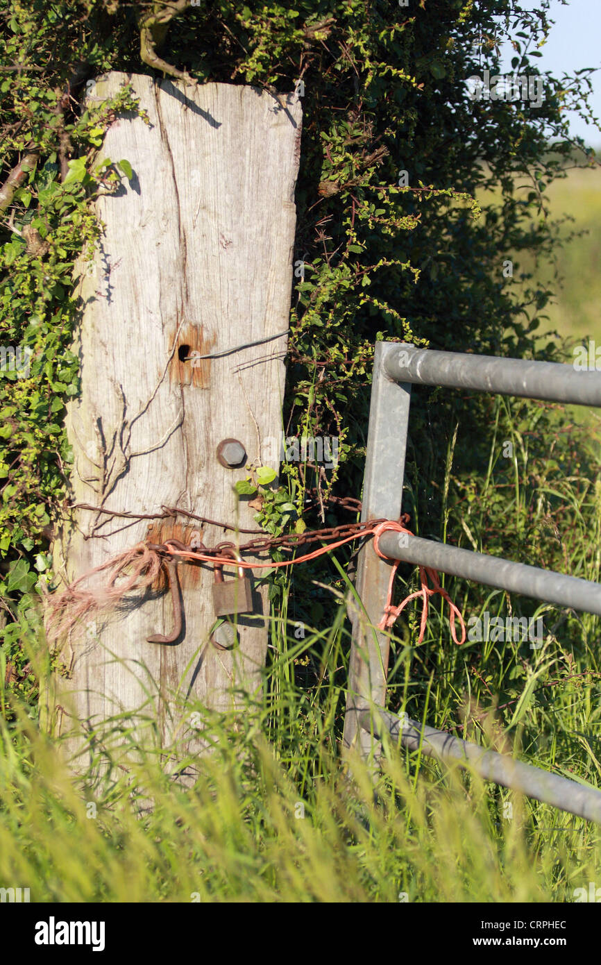 Farm gate padlock and chain hi-res stock photography and images - Alamy