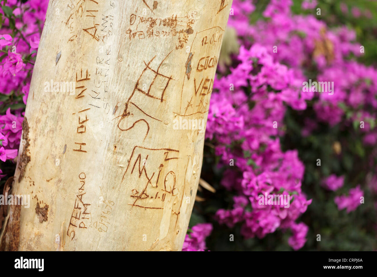 Grafitti flowers hi-res stock photography and images - Alamy