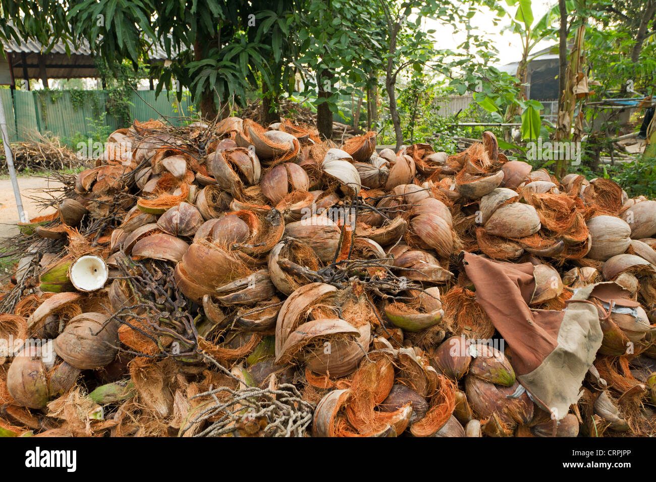 Shell Waste Stock Photos & Shell Waste Stock Images - Alamy