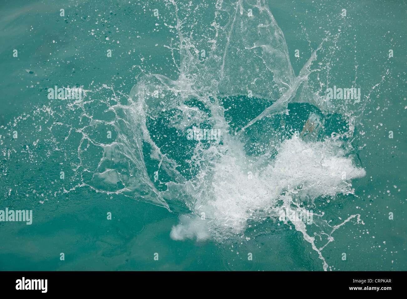 People splashing in sea hi-res stock photography and images - Alamy