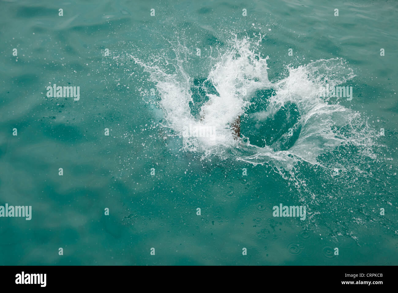 People jump in sea hi-res stock photography and images - Alamy