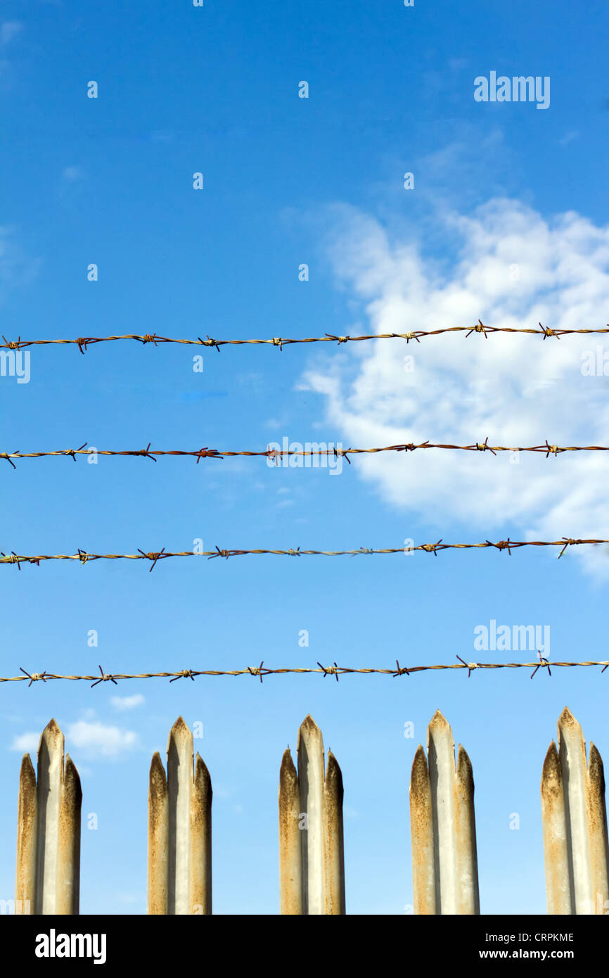 barbed wire and a sharp fence Stock Photo - Alamy