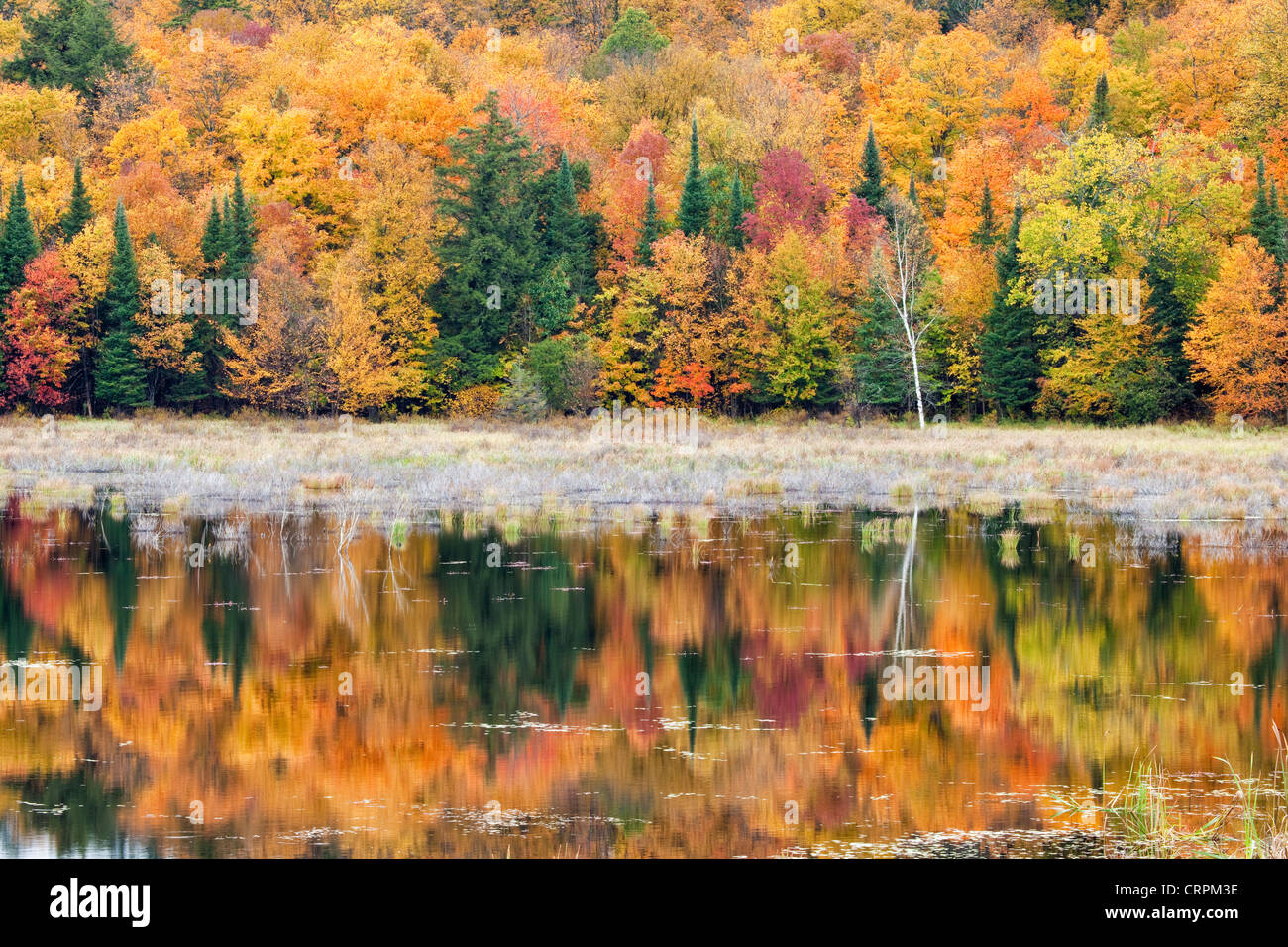 Dwight ontario hi-res stock photography and images - Alamy