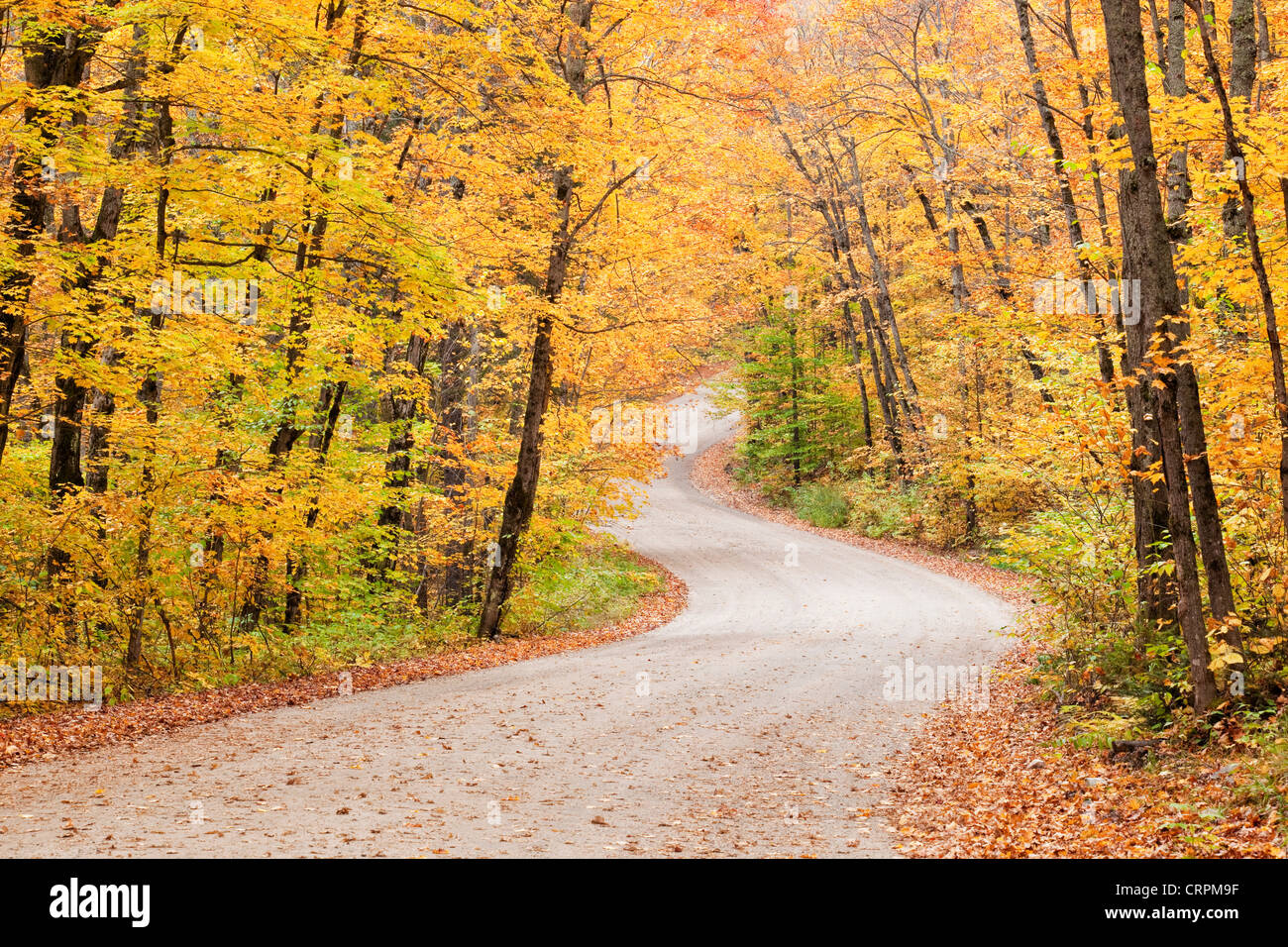 Algonquin provincial park canada autumn hi-res stock photography and ...