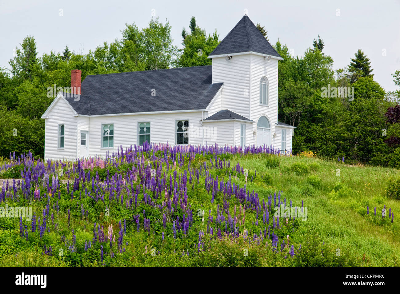 Traditional white clapboard church, Pocologan, New Brunswick, Canada ...