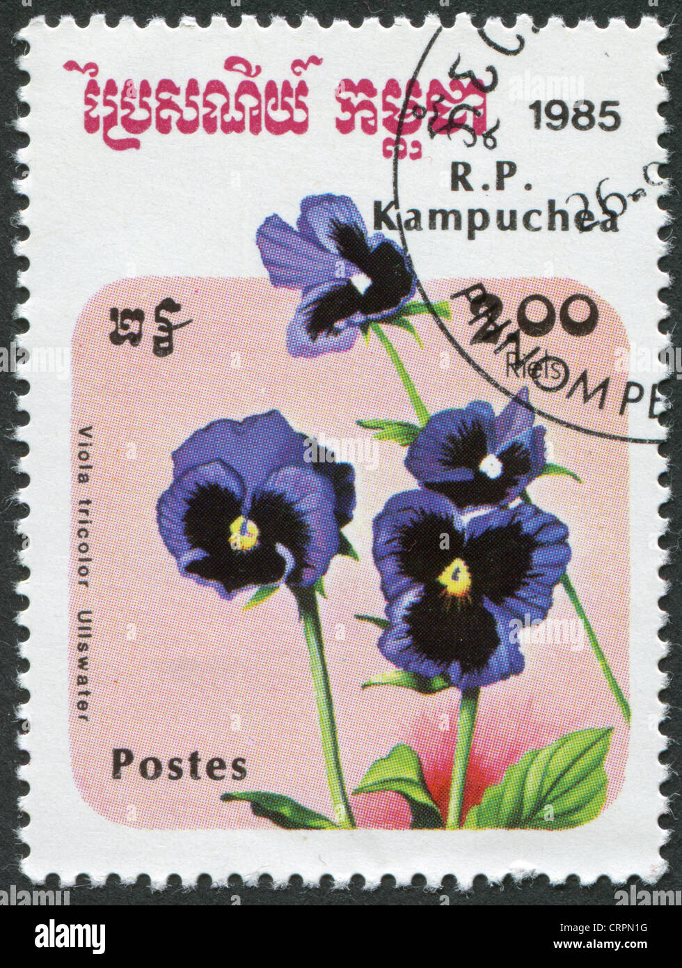 KAMPUCHEA-CIRCA 1985: A stamp printed in the Cambodia, depicts a flower ...