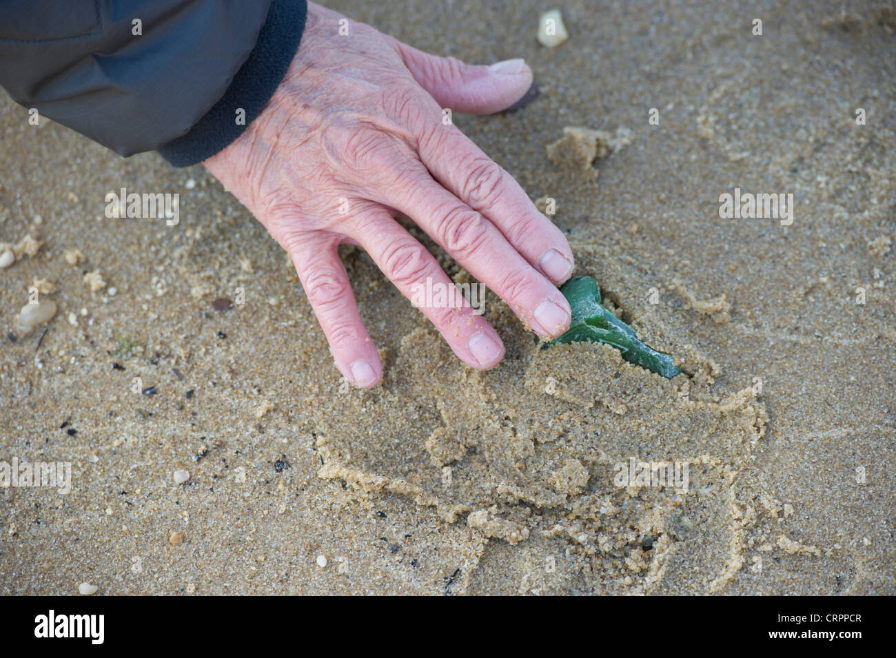 Beachcombing and collecting sea glass hi-res stock photography and ...