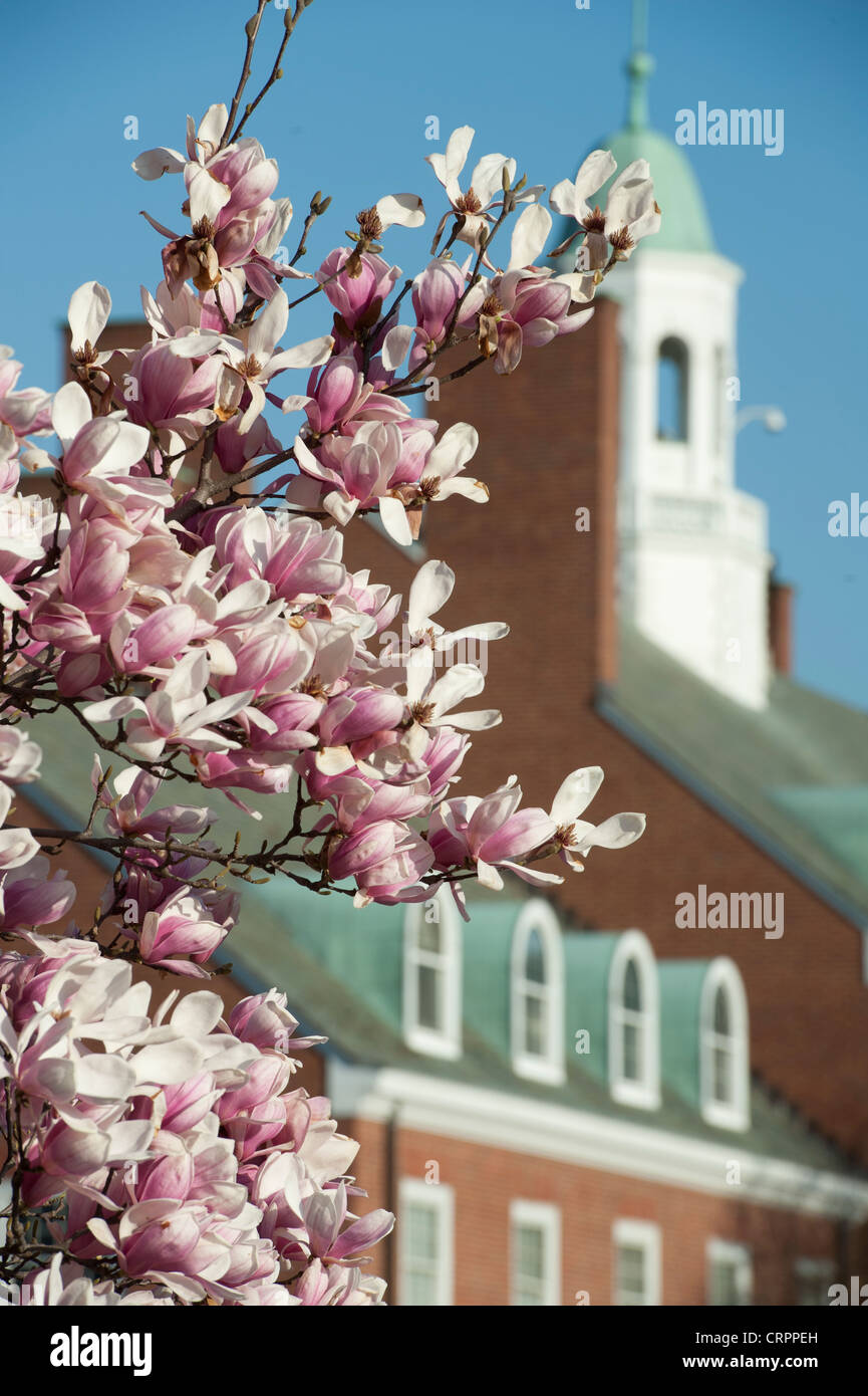 University of maryland campus hi-res stock photography and images - Alamy