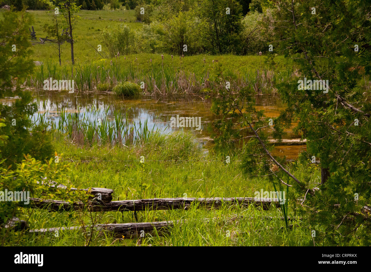 A pond and fields on Manitoulin Island Stock Photo - Alamy