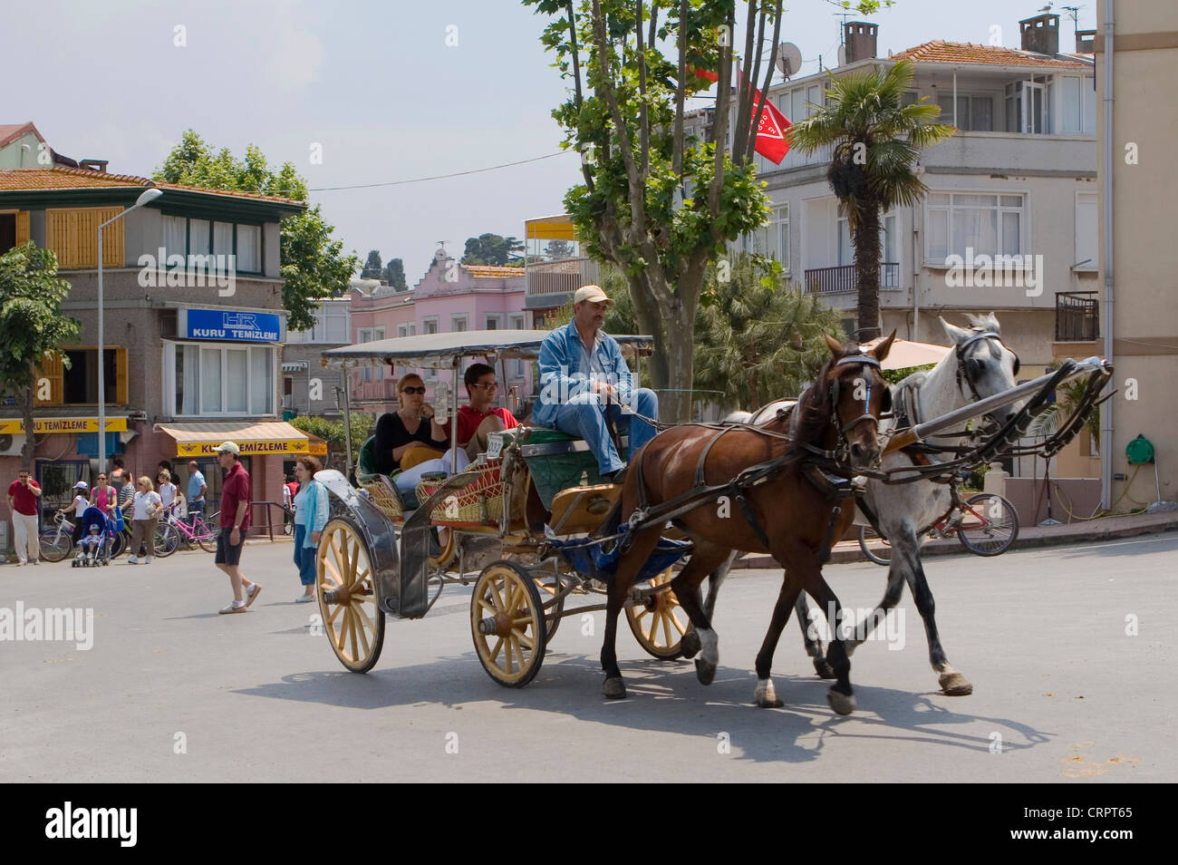 Horse-drawn phaeton carriages are a popular means of getting around ...