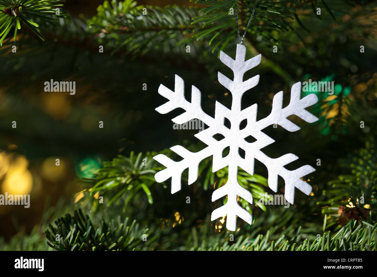 White artificial snowflake in a fresh green Christmas tree and ...