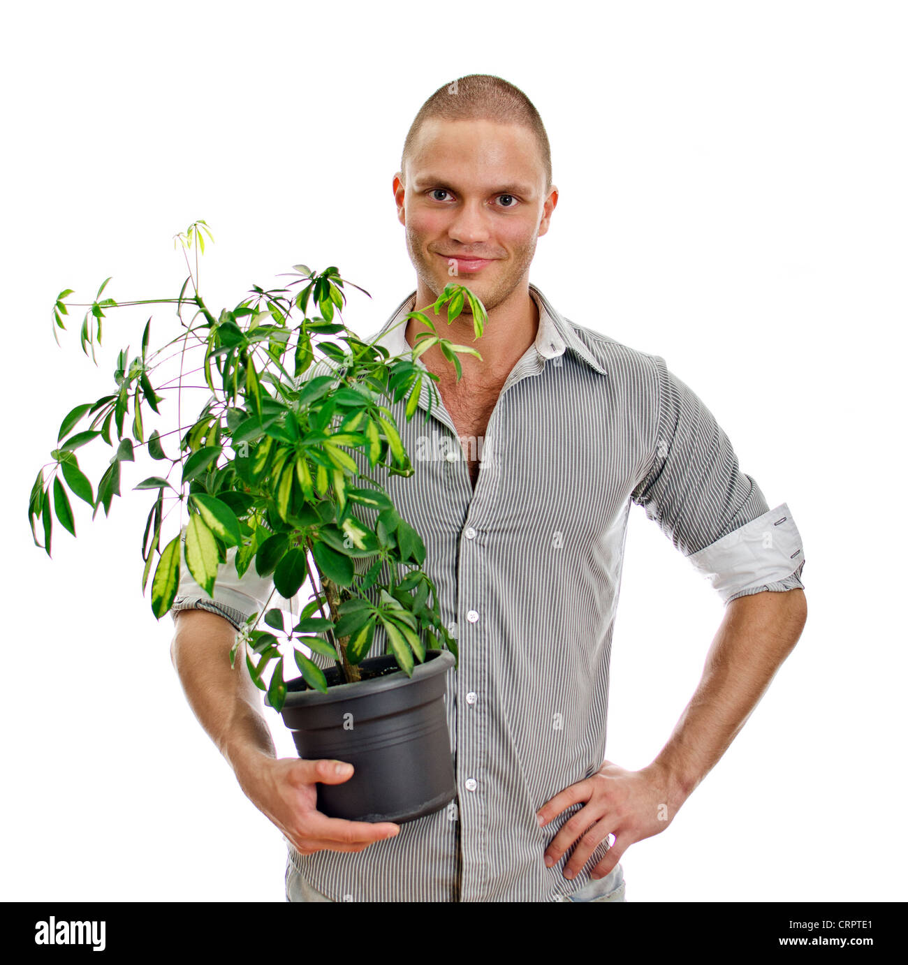 Man holding a pot with plant. Isolated on white background Stock Photo ...