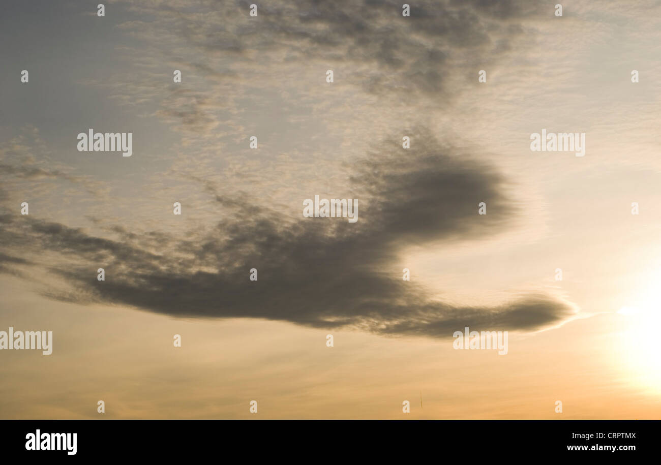 cloud bird over night sky Stock Photo - Alamy