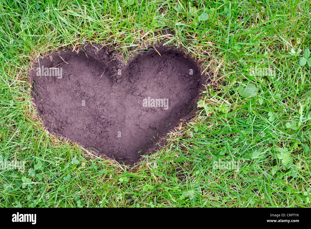 Heart of the Earth concept- heart symbol carved into the green grass ...