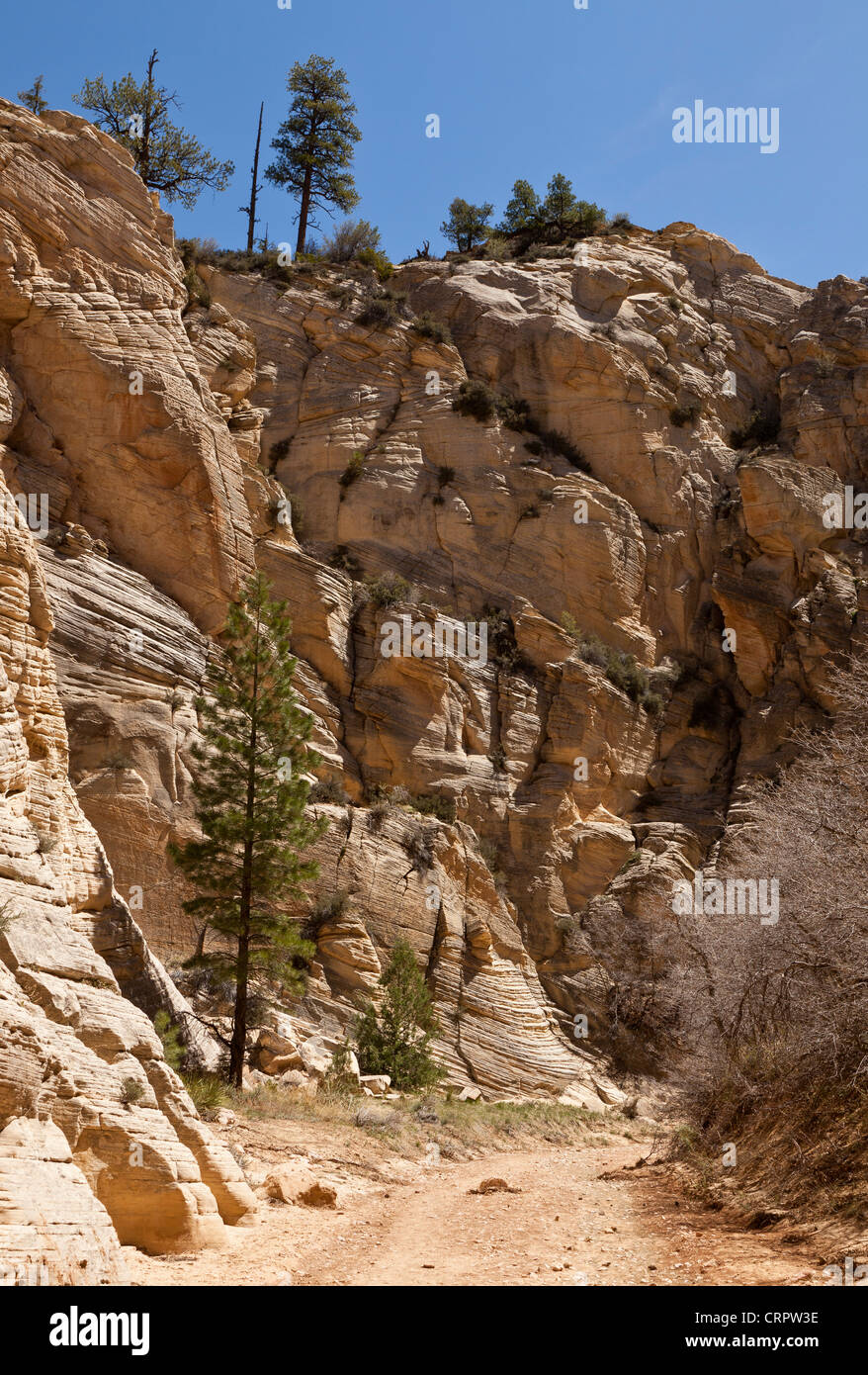 White cliffs trail hi-res stock photography and images - Alamy