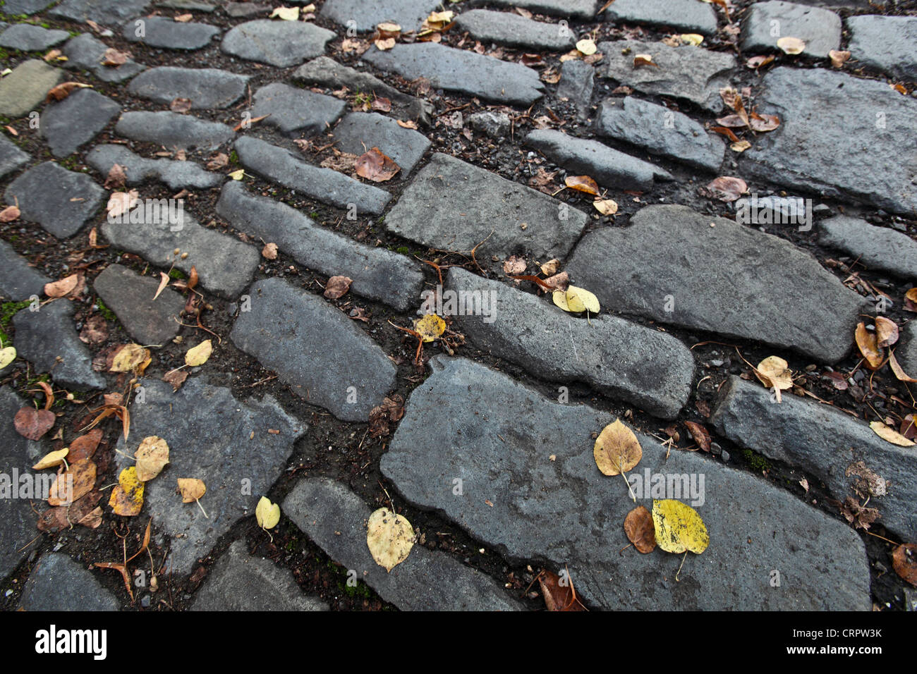 autumn/fall cobblestone background - fallen colorful leafs convey the ...