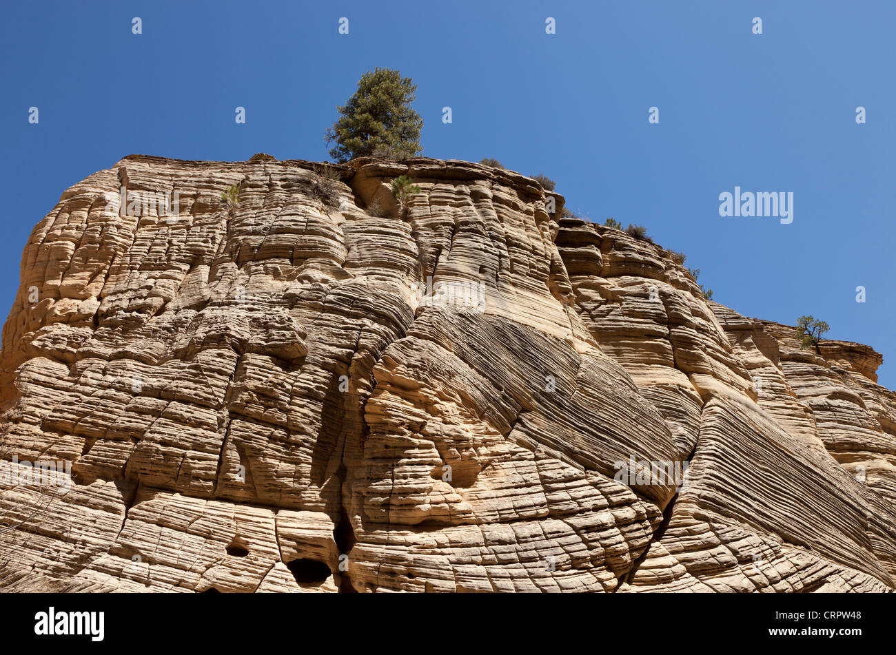 White cliffs country trail hi-res stock photography and images - Alamy