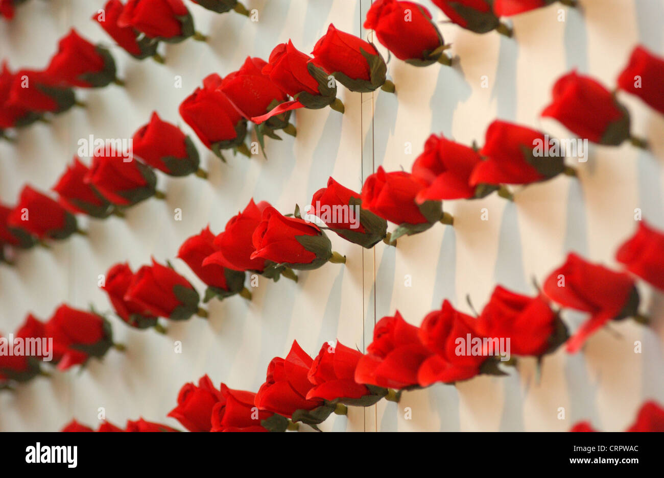Wall with red roses Stock Photo - Alamy