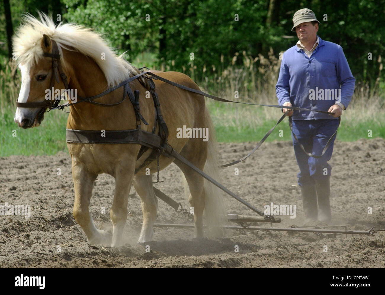 Farmer in field work Stock Photo - Alamy