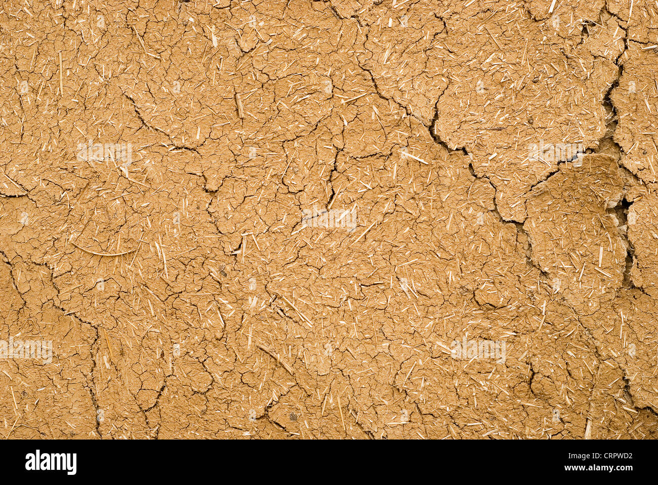 close-up view of clay wall texture Stock Photo - Alamy