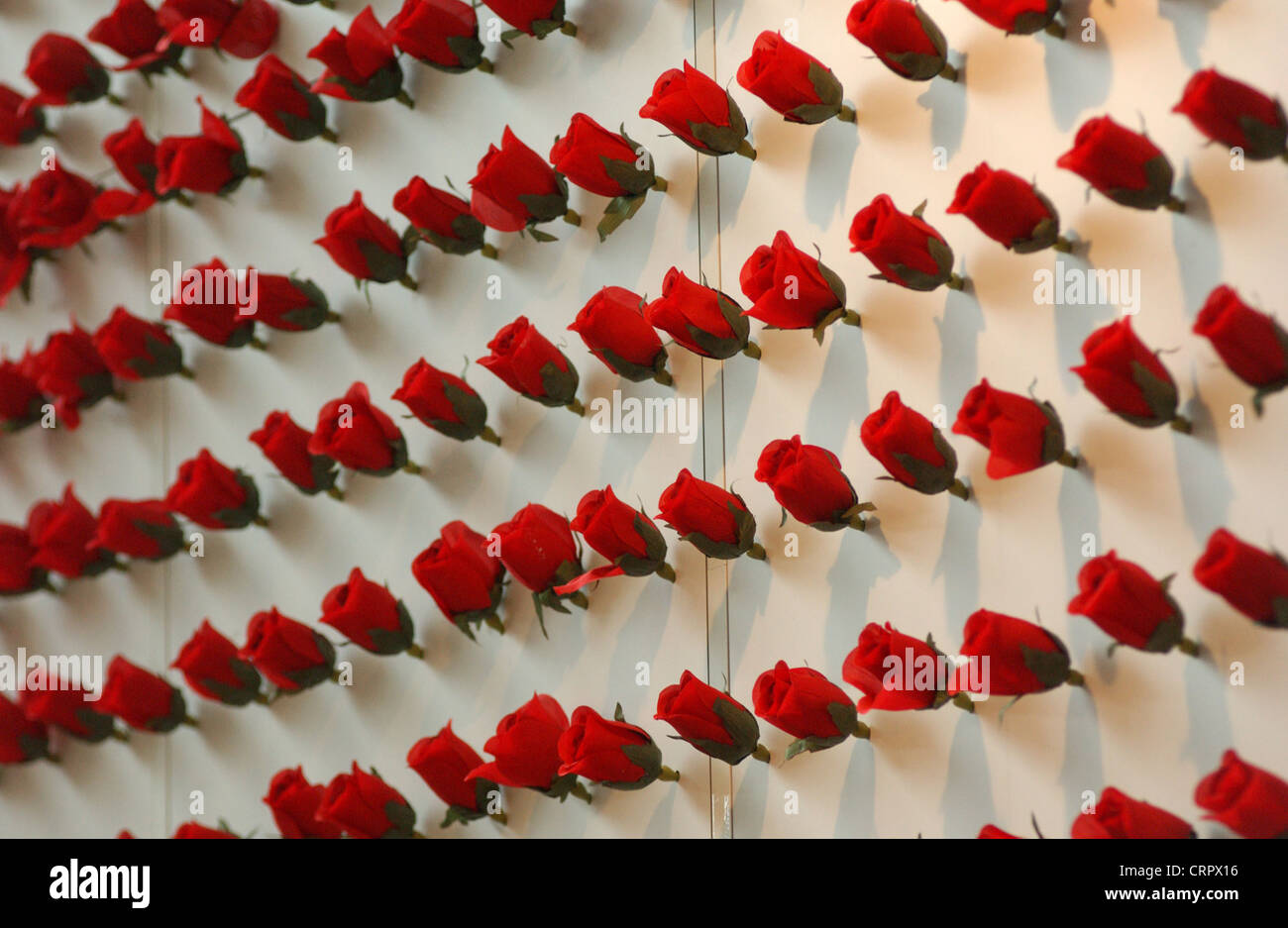 Wall with red roses Stock Photo - Alamy