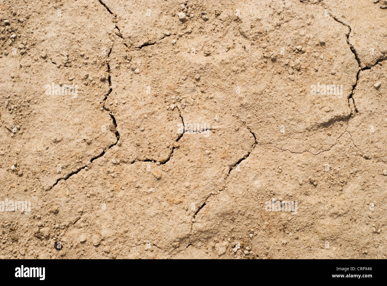 close up view of rifts on dry ground Stock Photo - Alamy