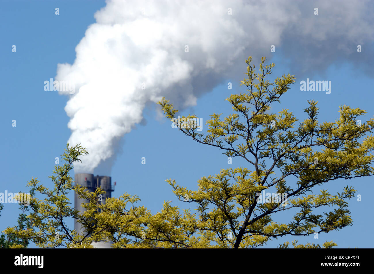 Smokestack of the coal-fired power plant in Berlin-Spandau Stock Photo ...