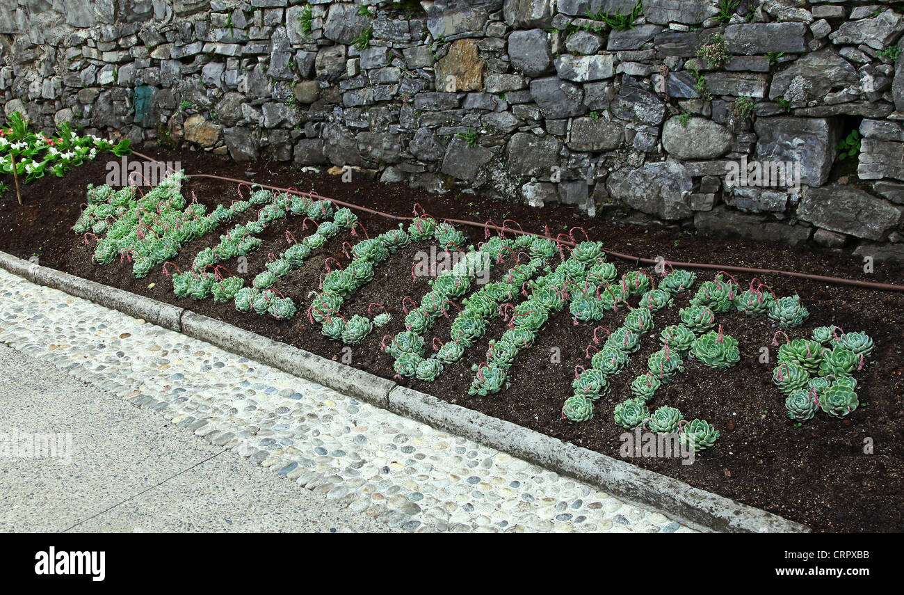 Spelled spelt out hi-res stock photography and images - Alamy
