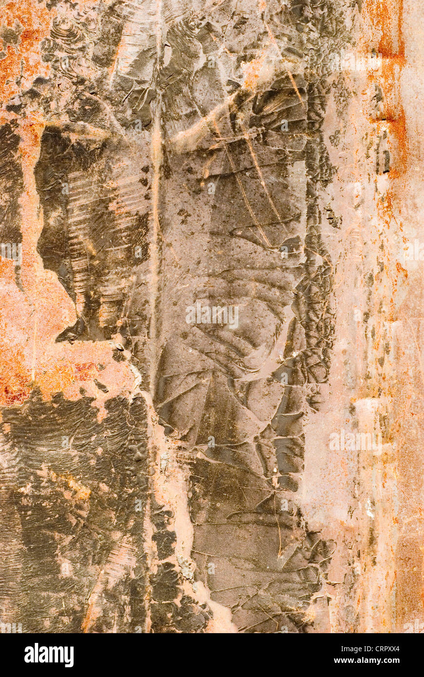 grunge metal great as a background Stock Photo - Alamy