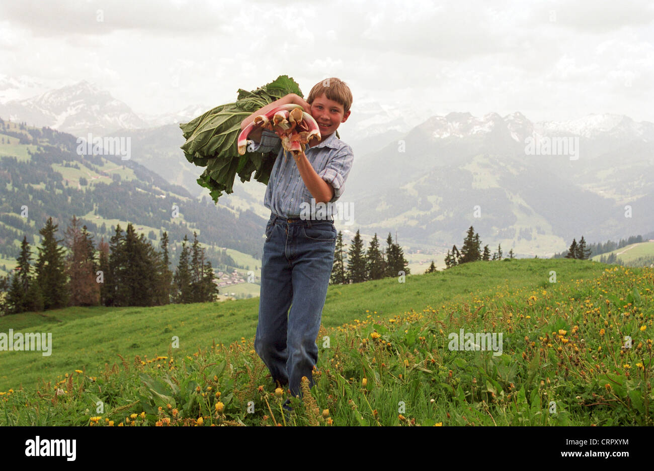 Mountain farm boy, Switzerland Stock Photo - Alamy