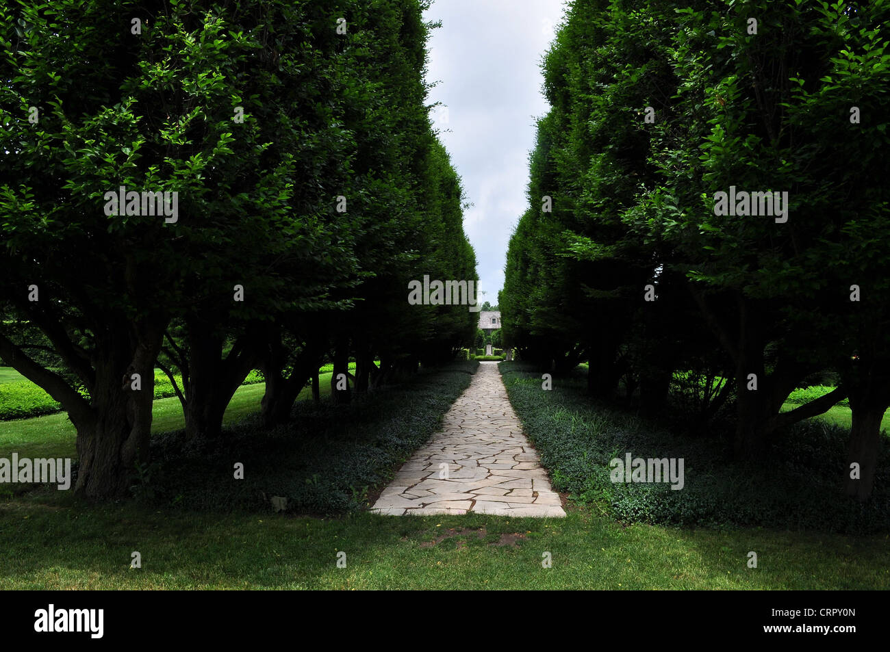 Trail through rows trees hi-res stock photography and images - Alamy