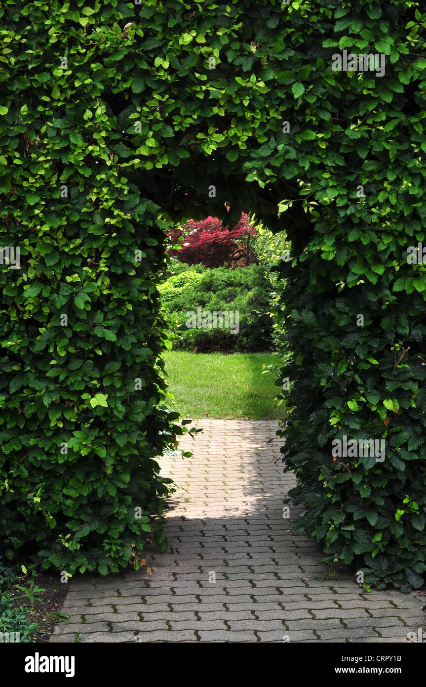 Passage Through a Hedge Stock Photo - Alamy