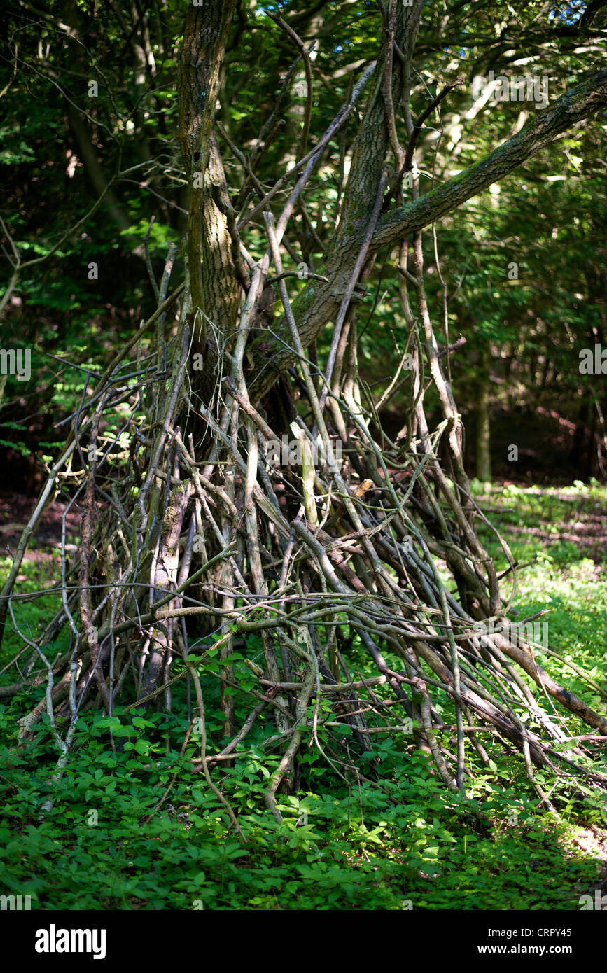 A makeshift shelter made out of sticks placed up against a tree in a ...