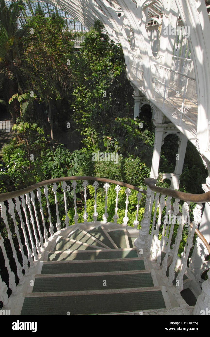 Inside temperate house kew gardens hi-res stock photography and images ...