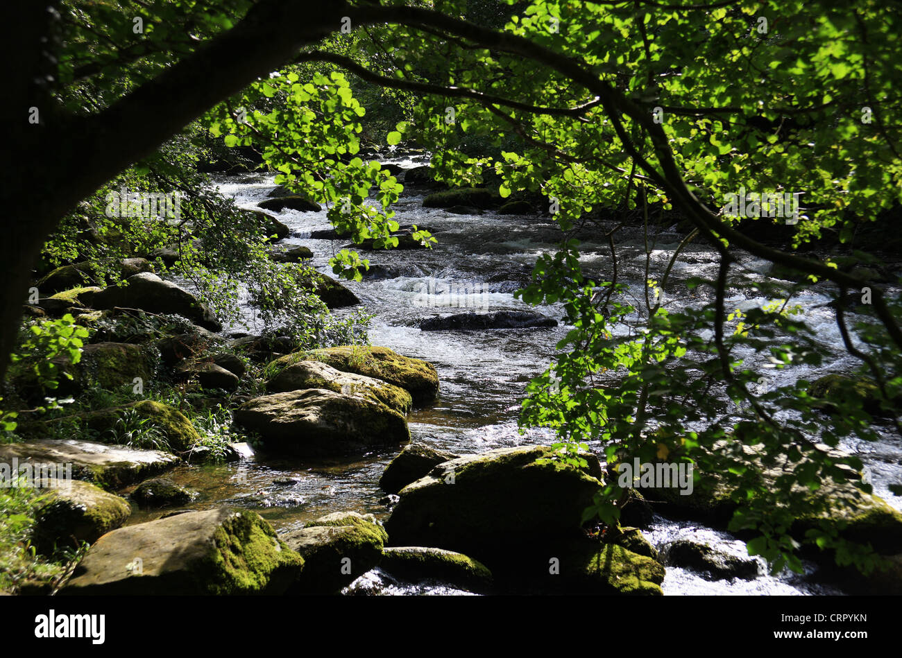 In the gorge of the East Lyn River at Lynmouth North Devon England ...