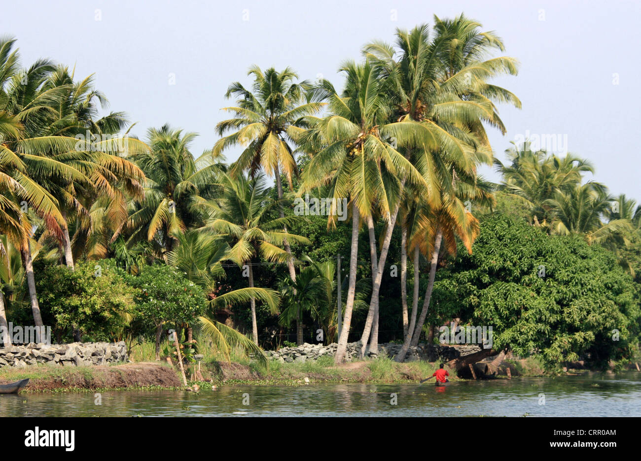 Rural life in kerala hi-res stock photography and images - Alamy