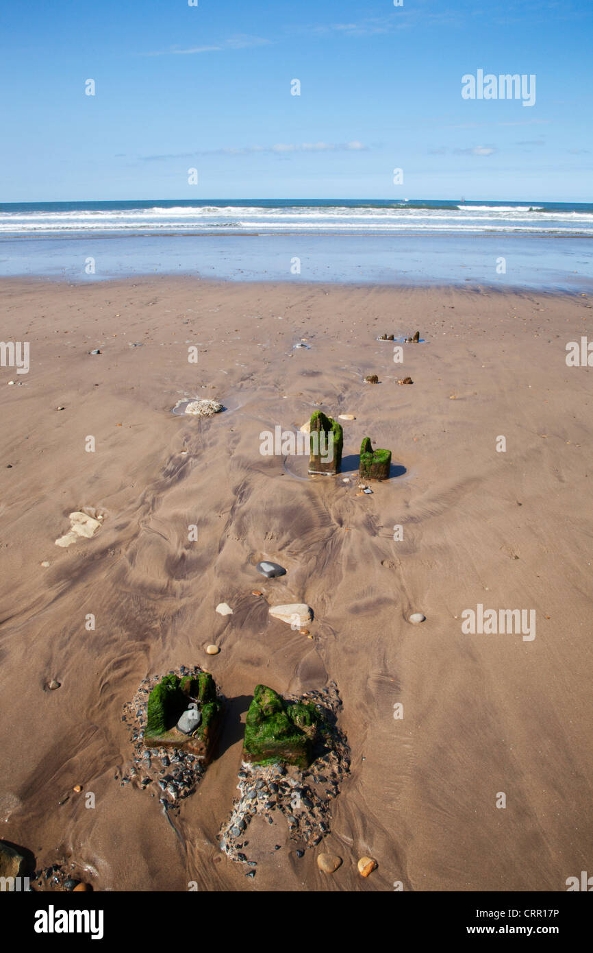 Old groynes hi-res stock photography and images - Alamy