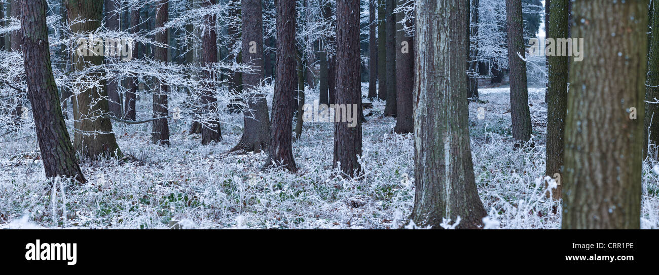 (panoramic photo made of multiple shots - excellent resolution, very ...