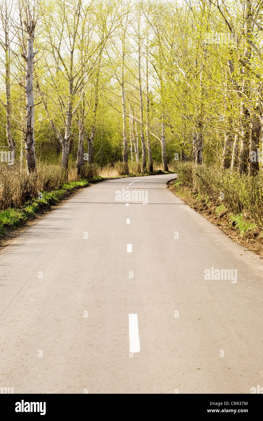 The image of spring hi-res stock photography and images - Alamy