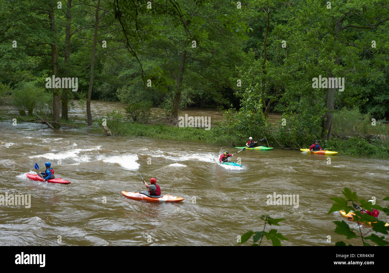 Kayak canoeists on the rivey Wye rapids while river is in flood or ...